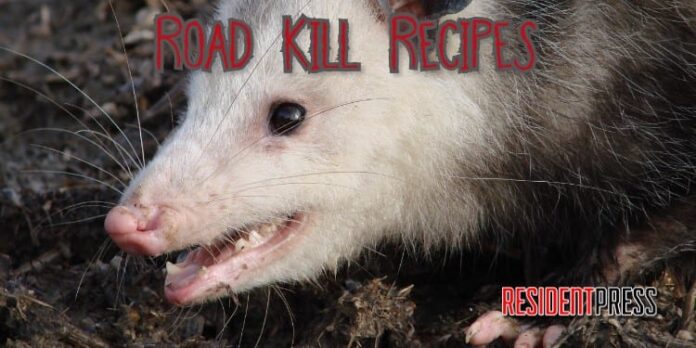 Road Kill Recipe: Possum Pot Pie | Resident News Network