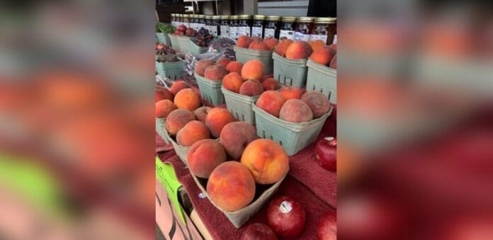 March freeze event likely eliminated 2026 Arkansas peach crop ...