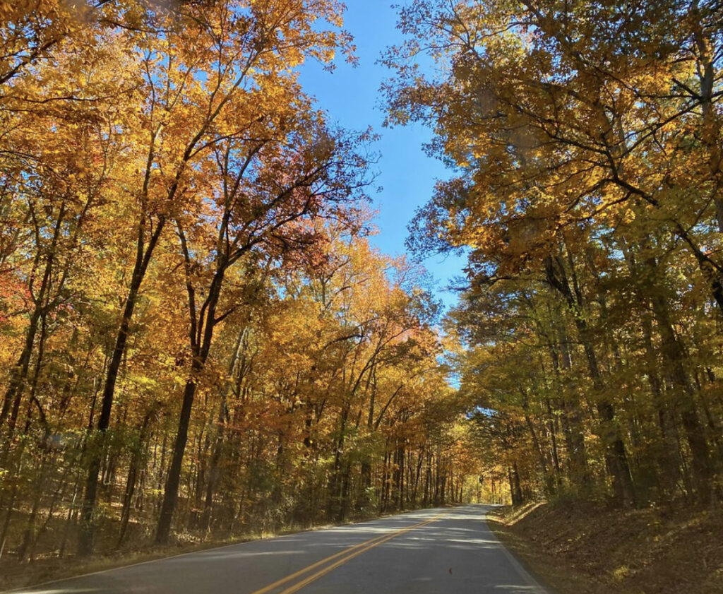 Glorious Fall: Where Did Those Colors Come From? | Resident News Network