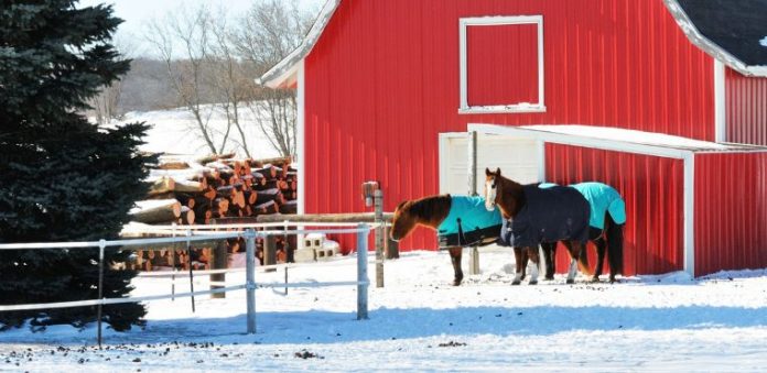How To Keep Farm Animals Safe During Winter | Resident News Network